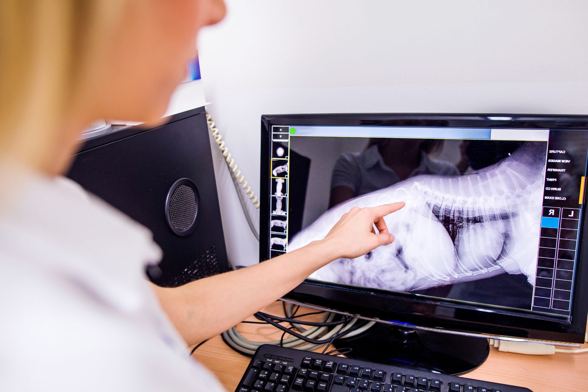 Pet Digital Imaging in Lake Oswego, OR | Compass Vet Clinic