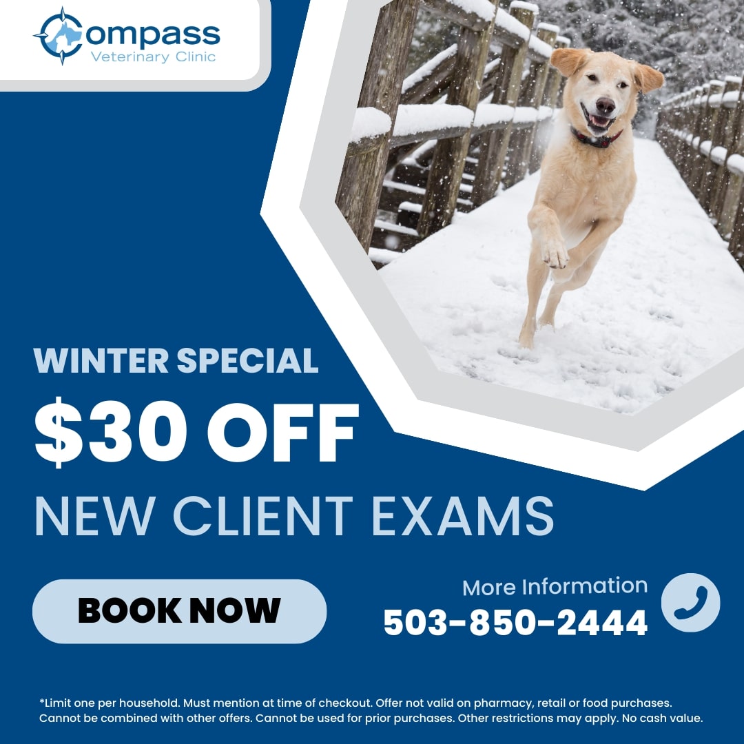 Best Veterinary Hospital in Lake Oswego, OR | Compass Veterinary Clinic
